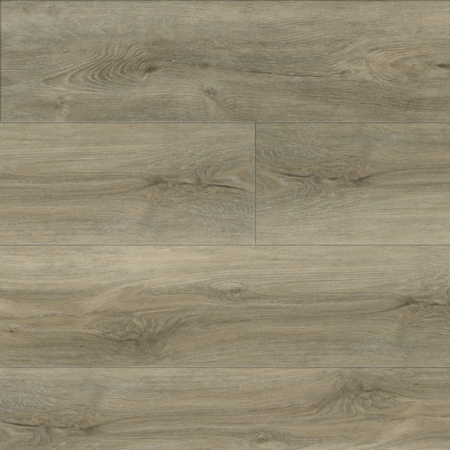 Coquina - Legacy Flooring Collection