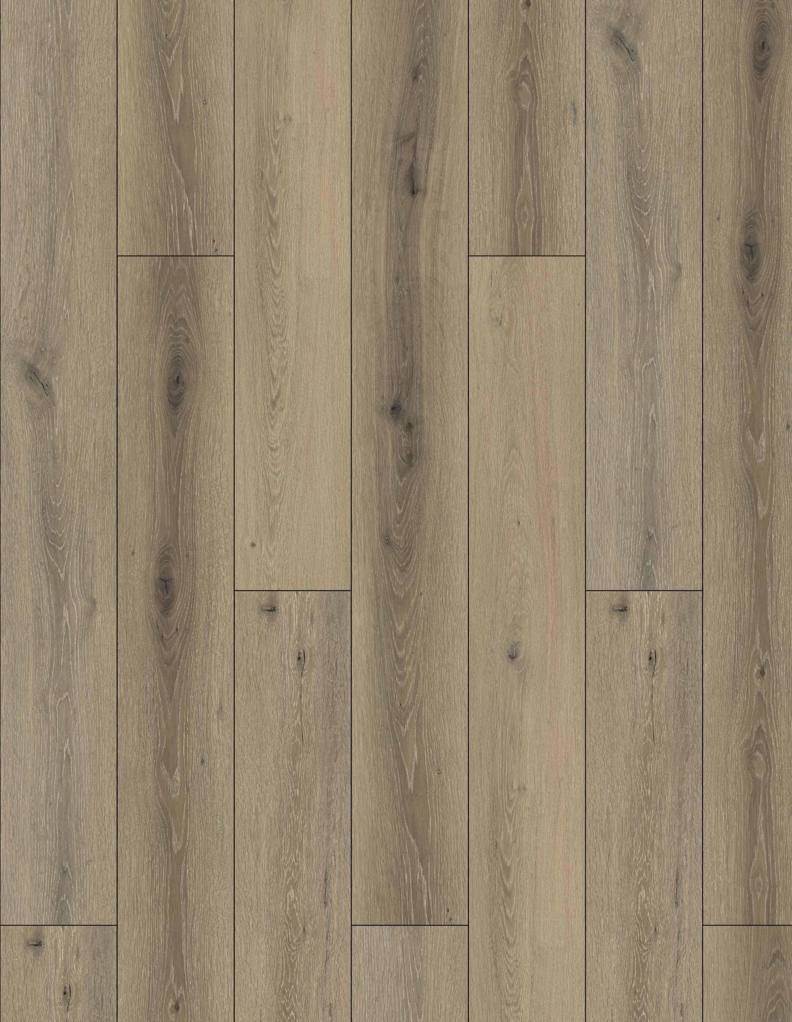 Sandy Oak - Legacy Flooring Collection
